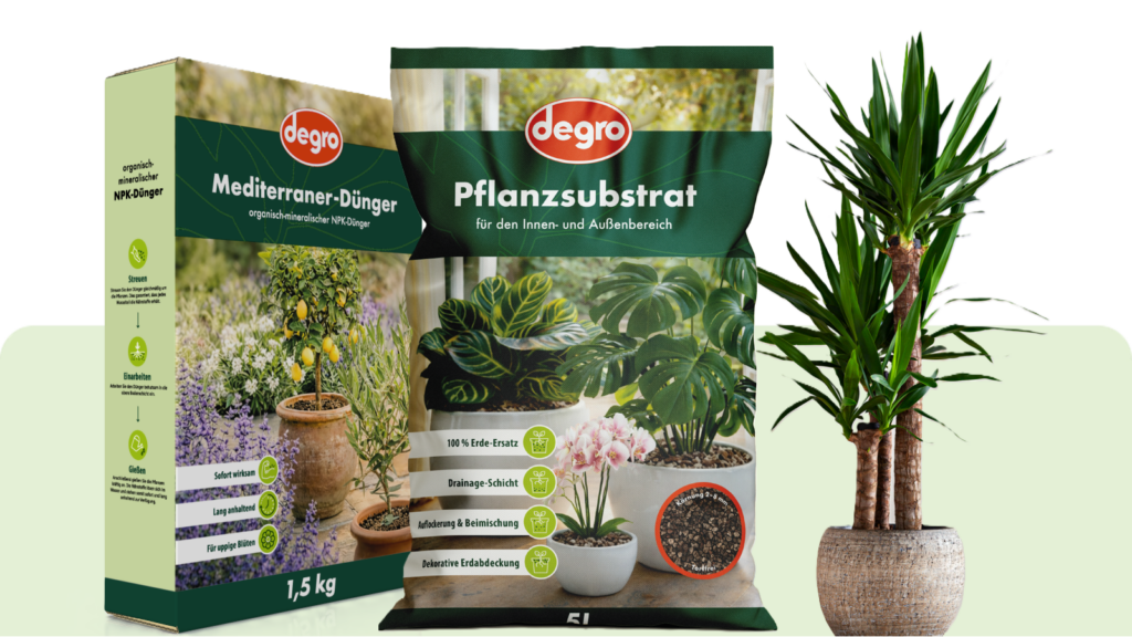 Startseite - Degro